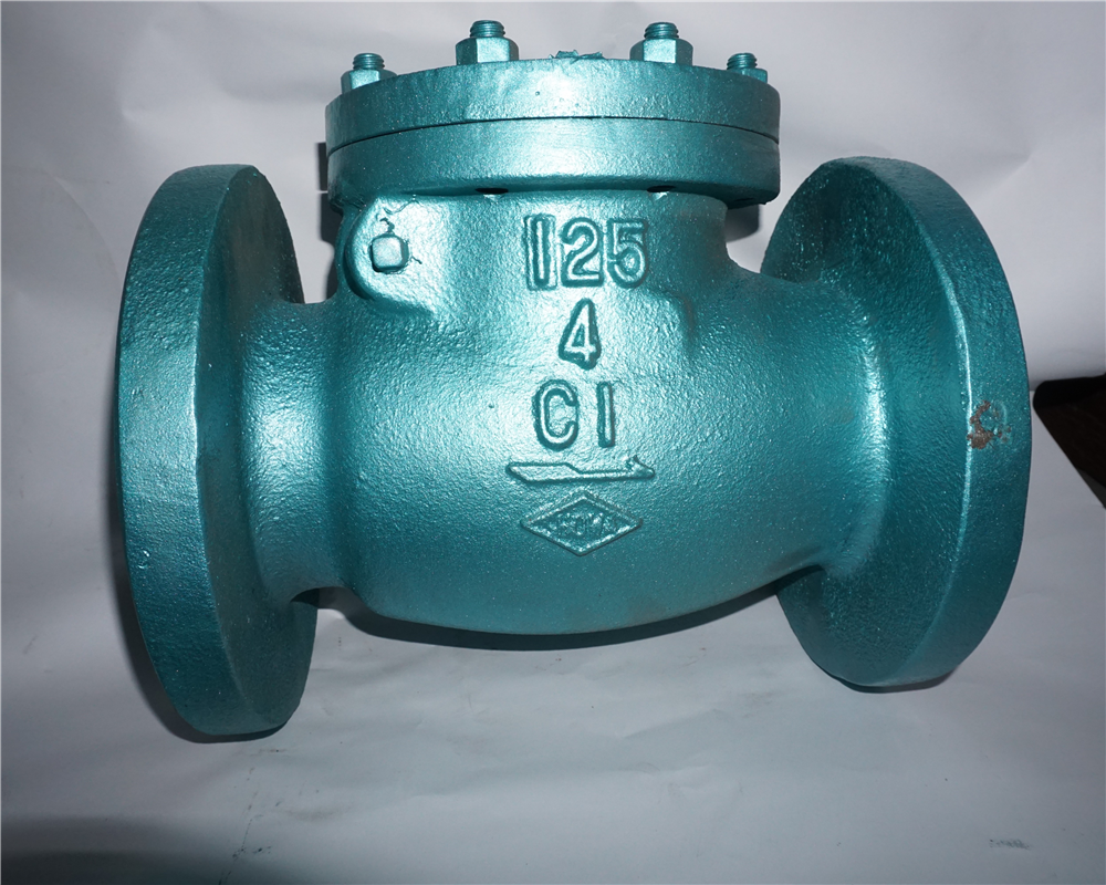 Check Valves Supplier Singapore - Aik Soon